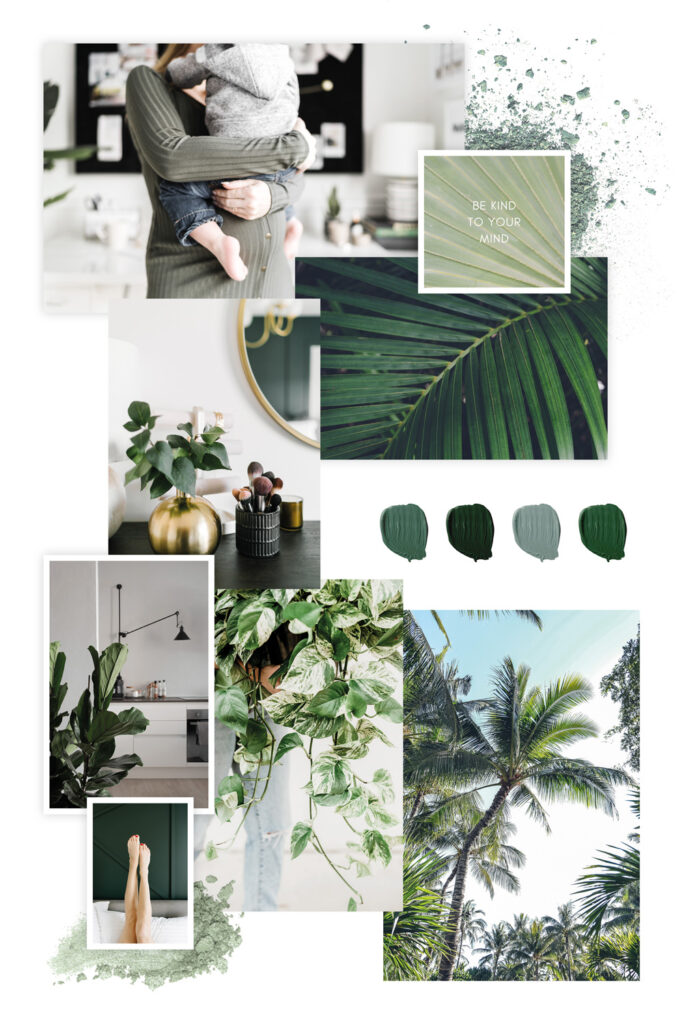 Greenery-Liebe: unsere Top 5 Pflanzen für dein Zuhause